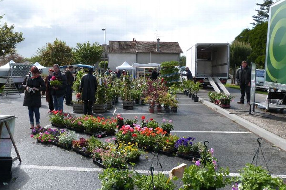 Fleurs aux couleurs du printemps - Le Populaire du Centre