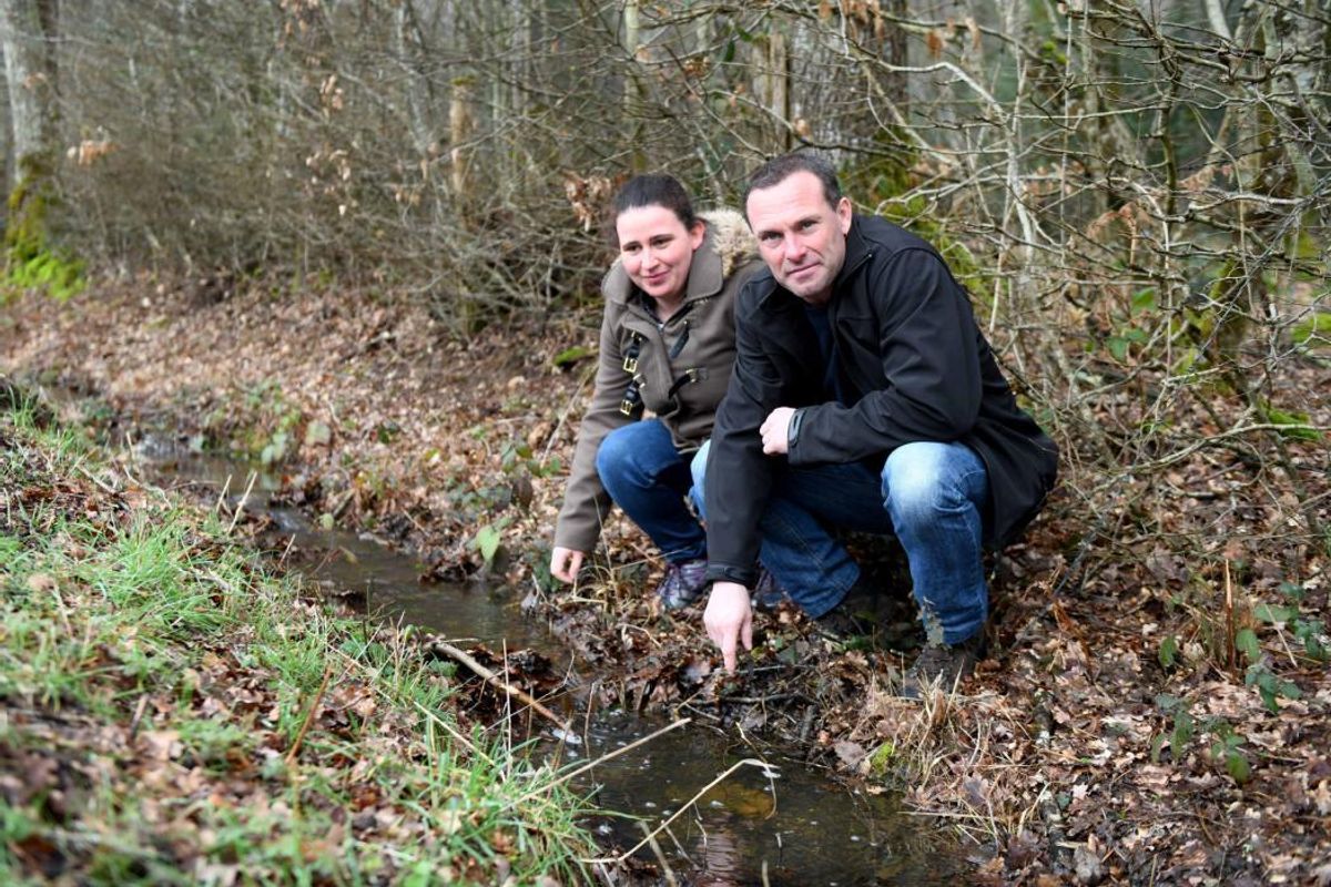 Le Conservatoire des espaces naturels tente l’expérience d'un crapauduc ...
