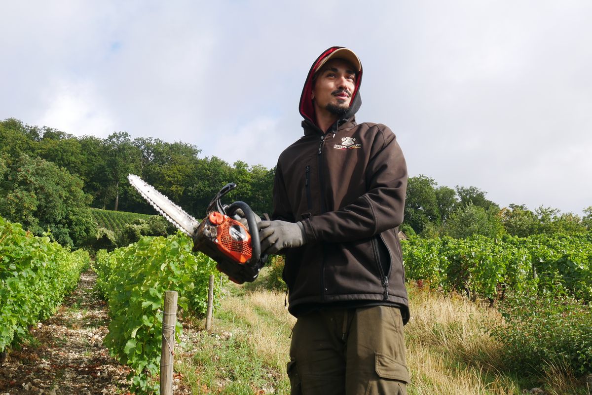 Philippe et Dorian trouvent leur voie dans les vignes du Sancerrois ...