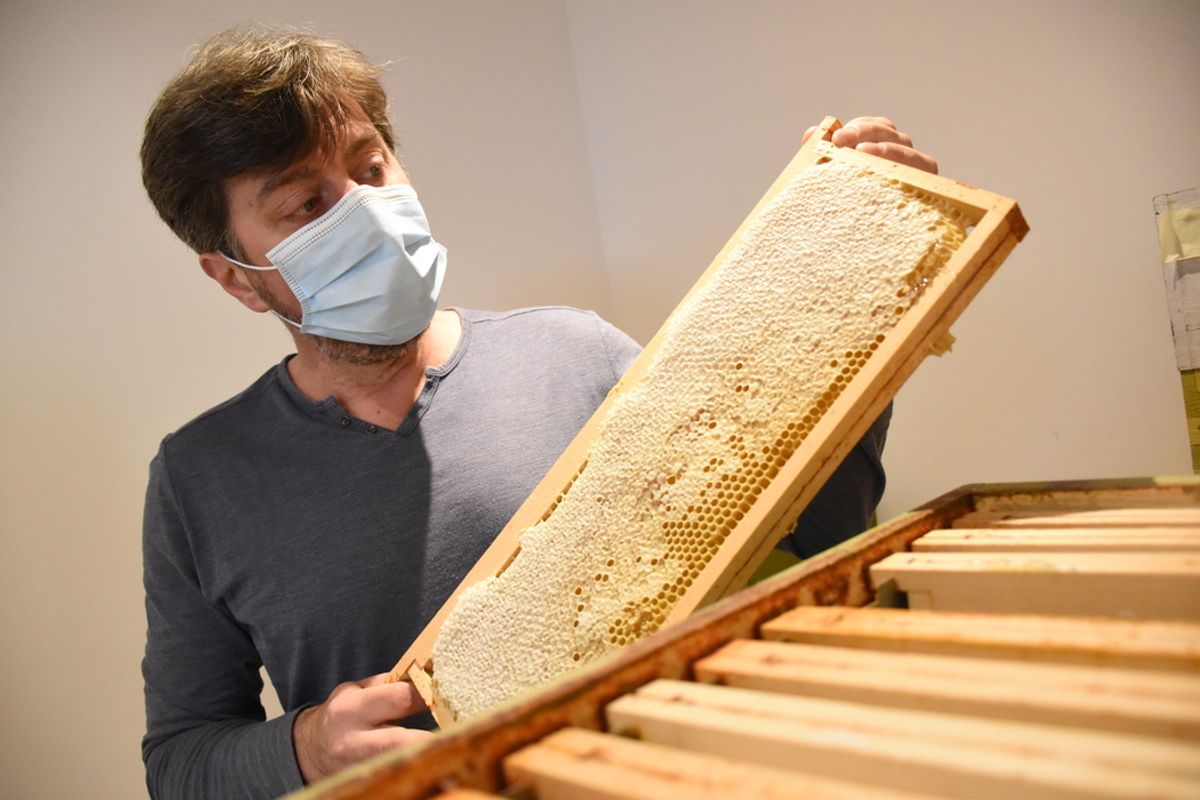 Vincent Parisse, reconverti dans l’apiculture, accueille le public dans ...