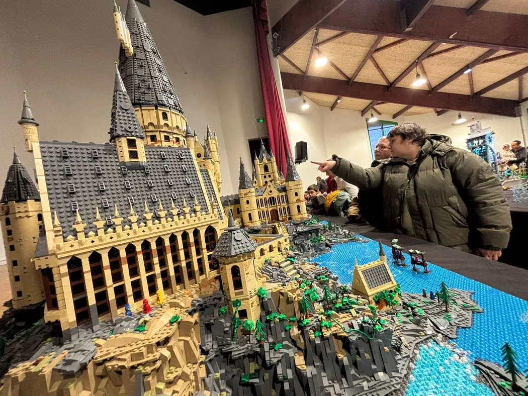Lego Star Wars, Harry Potter, Avatar ou Animal Crossing : tout ce qui ...
