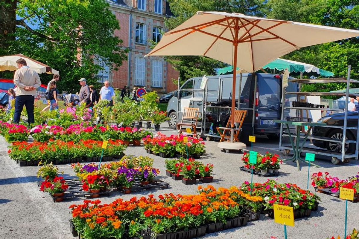 Botanique, brocante, musique ancienne... À voir et à faire en Haute ...