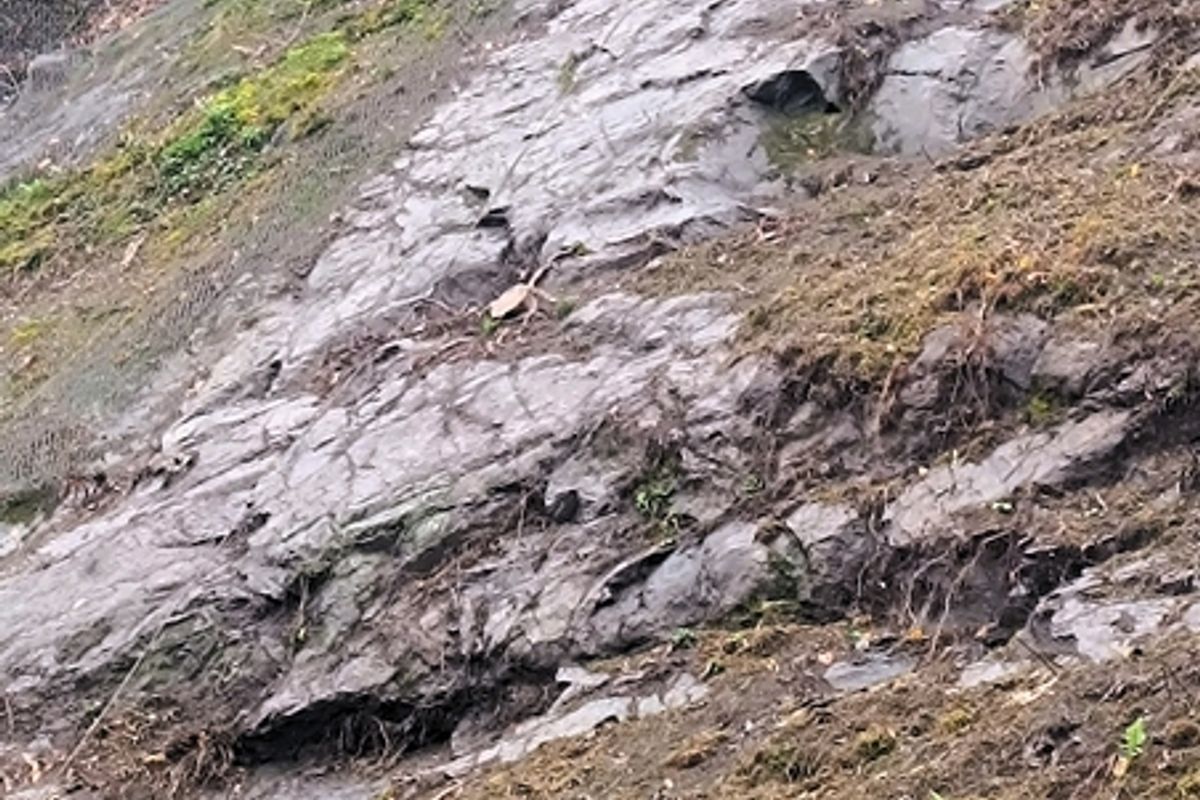 Le talus de la RD 940 renforcé - La Montagne