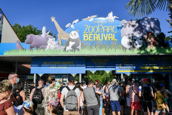 Vous cherchez un job d’été : le ZooParc de Beauval a 600 postes à ...