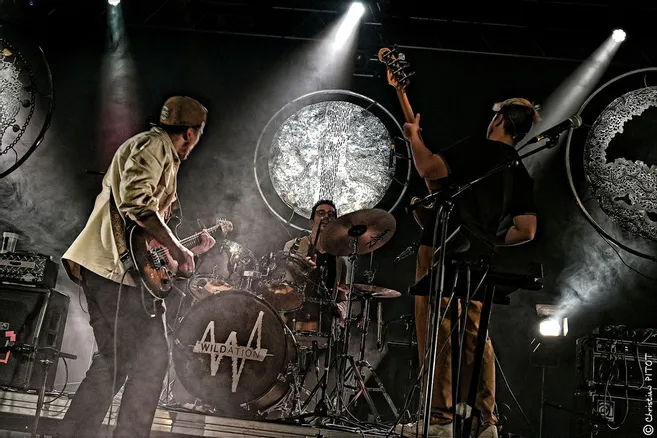 Le groupe Wildation à L’Escale ce soir - L'Yonne Républicaine