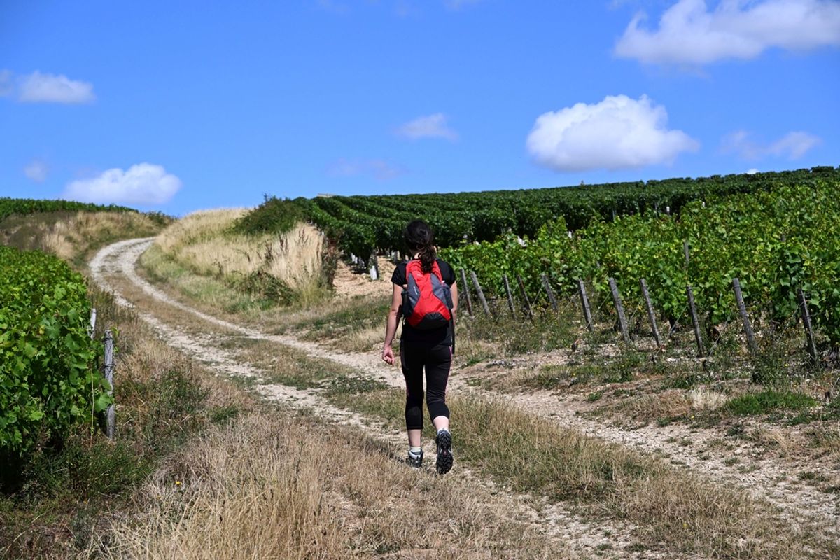 Où marcher dans le Cher ce week-end ? Retrouvez le programme des ...