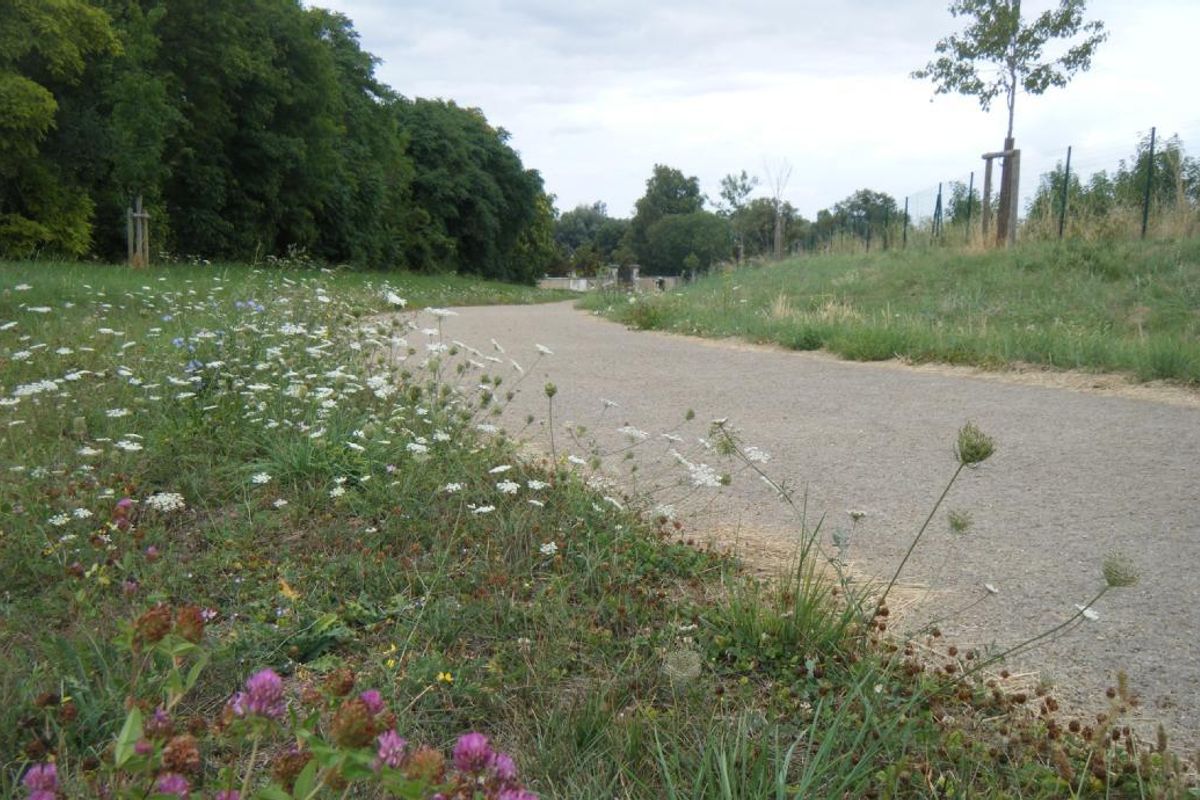Promenade entre campagne et ville : un circuit surprenant - Le Berry ...