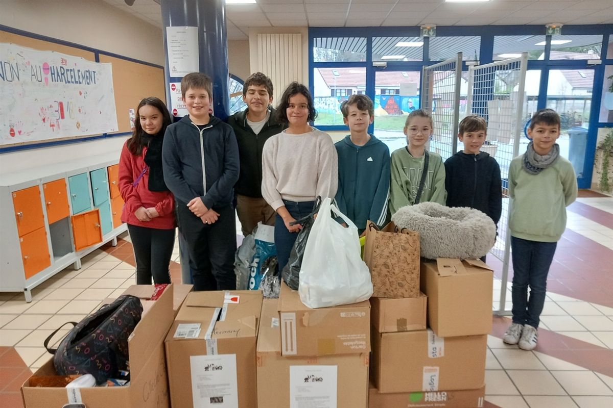 À Michel-Chasles, des élèves s’engagent pour la cause animale - L’Écho Républicain