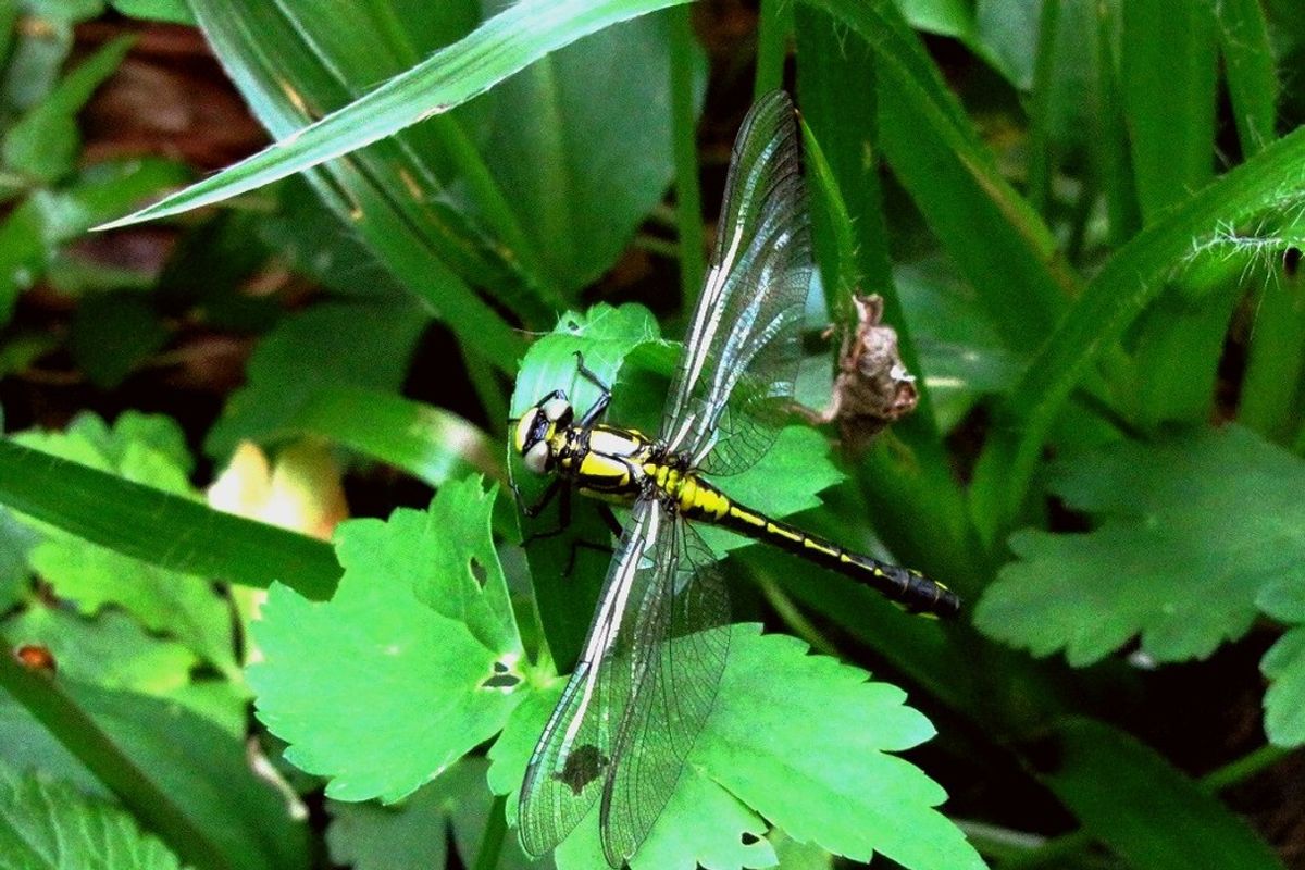Montboucher loisirs culture - La Montagne
