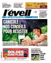 Ivre au volant, le conducteur manque le giratoire et percute un arbre ...