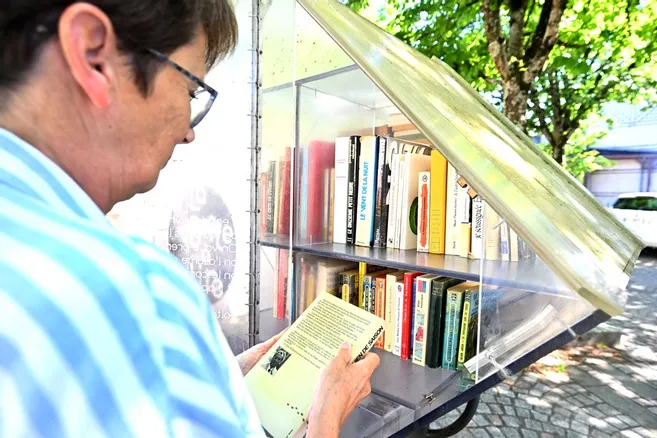 Harry Potter, Jane Austen ou Buffy : les boîtes à livres regorgent de ...