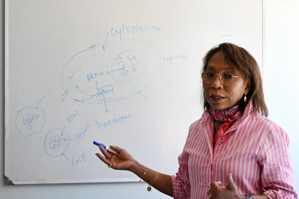 Orléans en pointe pour la recherche sur l'ARN messager et les traitements innovants : on vous ...