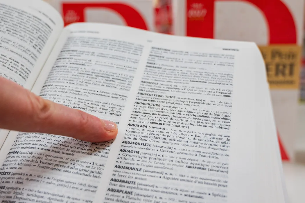 "Gavé", "matrixer", "bouiner" ou "airfryer" : ces définitions (et 146 ...