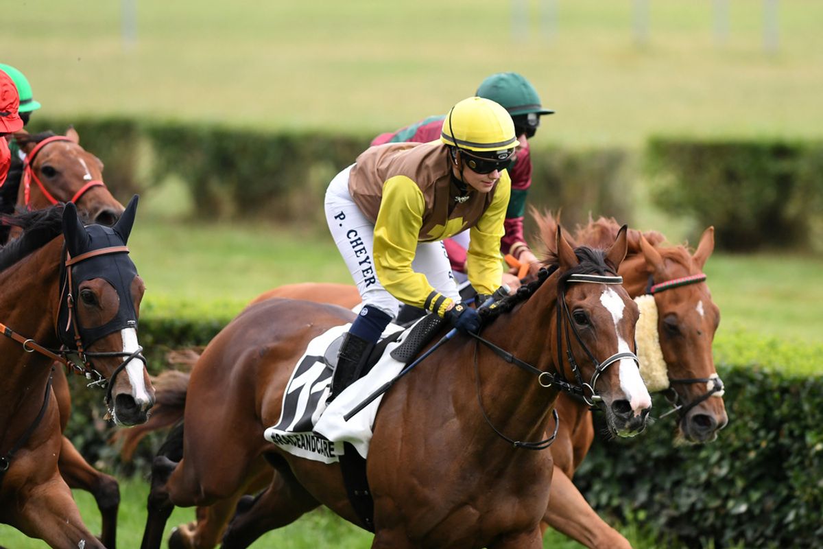 "Nous avons notre place" : Perrine Cheyer, jockey au féminin, a ...
