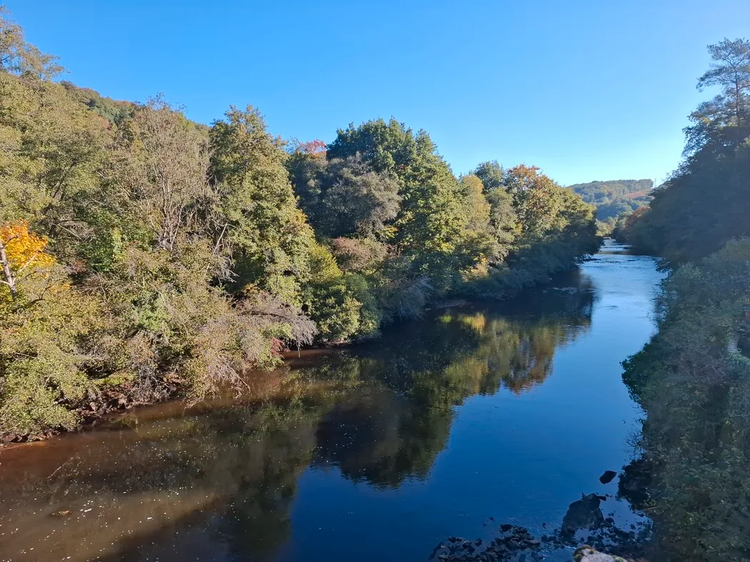 La flânerie du dimanche à Saint-Martin-Terresssus, avec Yannick Lapouge et Yann Nicard, de l ...