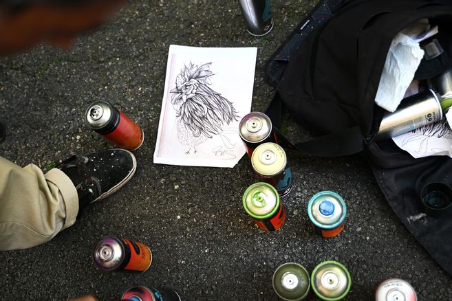 À Vichy, les "street artistes" ont le champ libre sur une friche ...