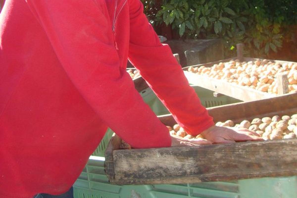 Vincent Verdier : 16 concours, 15 fois primé - La Montagne