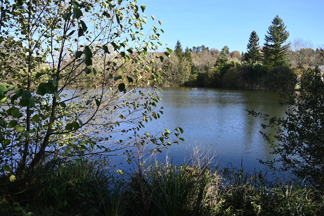 Défrichage, création de cheminements et d’une passerelle... L’étang des Saules, à Coulanges-lès ...