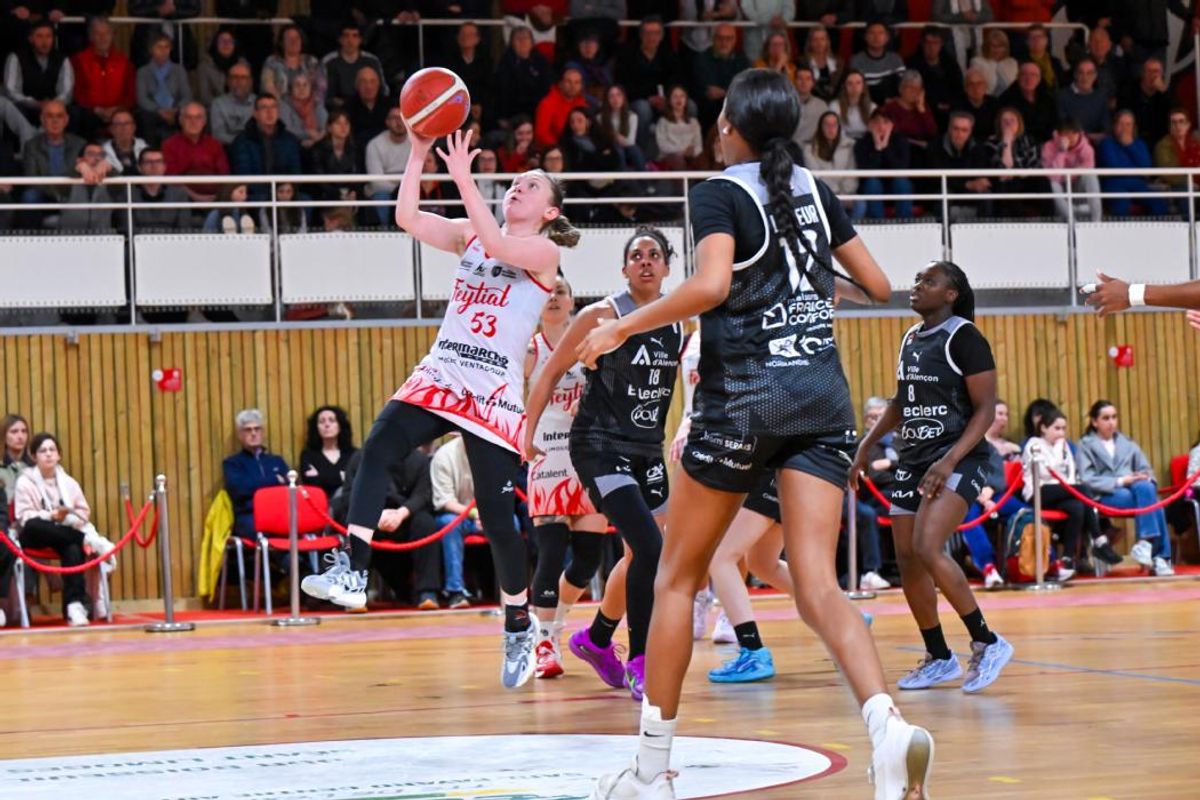Face au Havre, Feytiat Basket 87 veut enfin valider son billet pour les ...