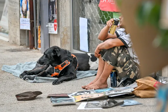 Qui sont les "punks à chien" qui viennent traîner au Festival de ...
