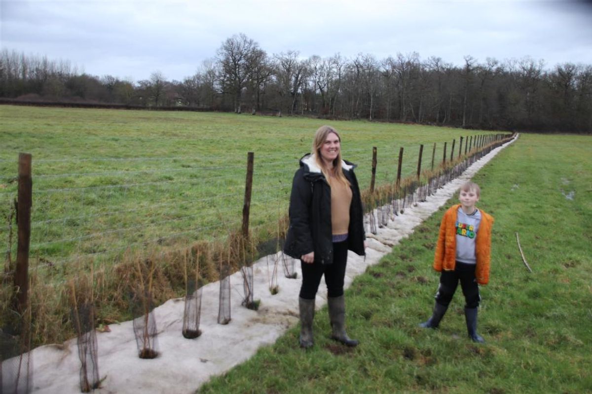 Des haies pour préserver la biodiversité à la ferme du Creuset, à ...