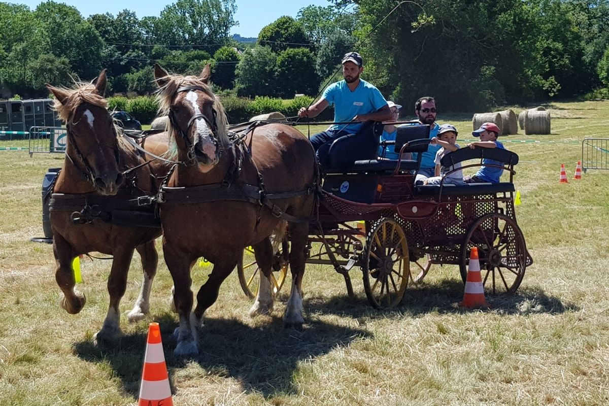 CHARBONNIERES LES VIEILLES. Tazen’Attelage met le cheval de trait à l ...