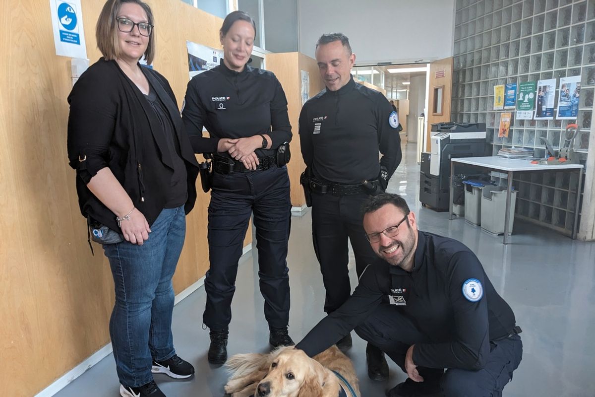 Comment Team's, chien d'assistance judiciaire aux victimes, a fait ...