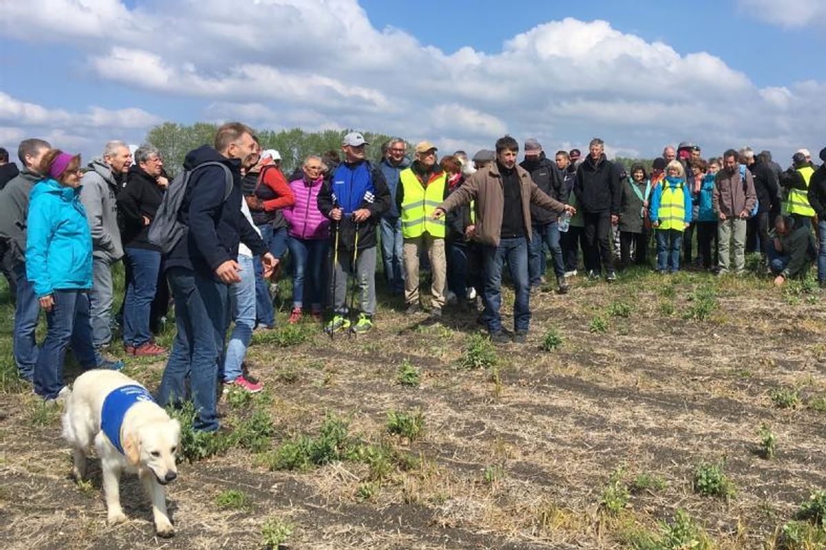 ENNEZAT. Culture et agriculture étaient à découvrir en se baladant - La ...