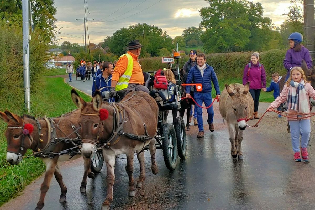 BITRY. Randonner avec les attelages d’ânes - Le Journal du Centre