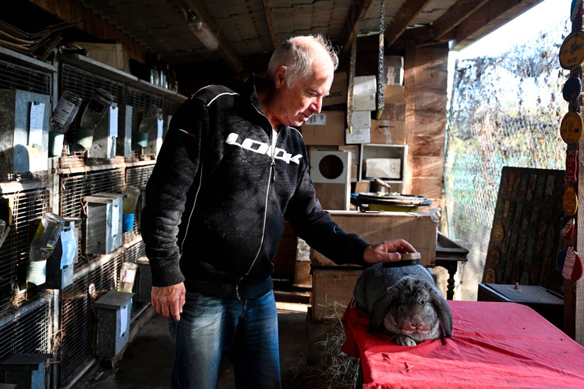 "Nous sommes la Camosine du vivant" : Denis Geoffroy organise le salon ...