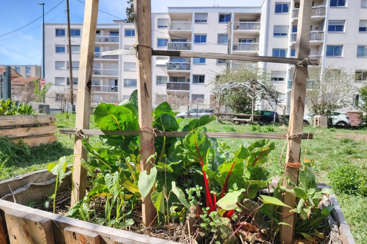 Petits coins de nature au cœur de Clermont-Ferrand, les jardins ...