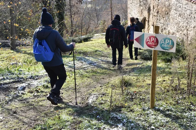 Lancements des illuminations, marchés de Noël, spectacles... voici quelques idées de sorties à ...