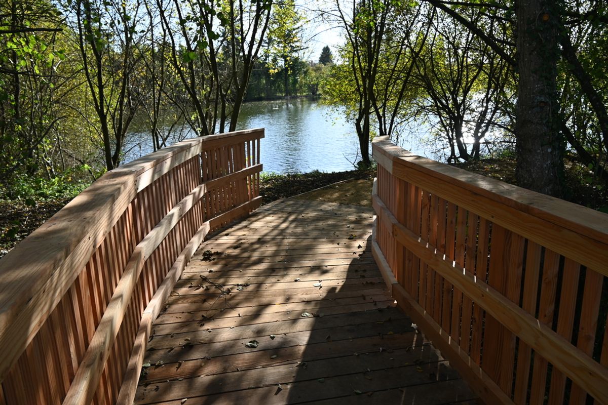 Défrichage, création de cheminements et d’une passerelle... L’étang des Saules, à Coulanges-lès ...