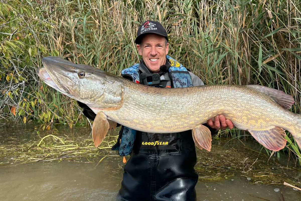 Un brochet de 1,19 mètre pêché dans le lac d'Auron, à Bourges, ce ...