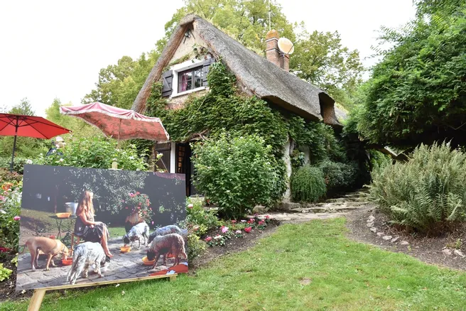 Mille animaux recueillis sur 6 hectares... découvrez le refuge de la ...