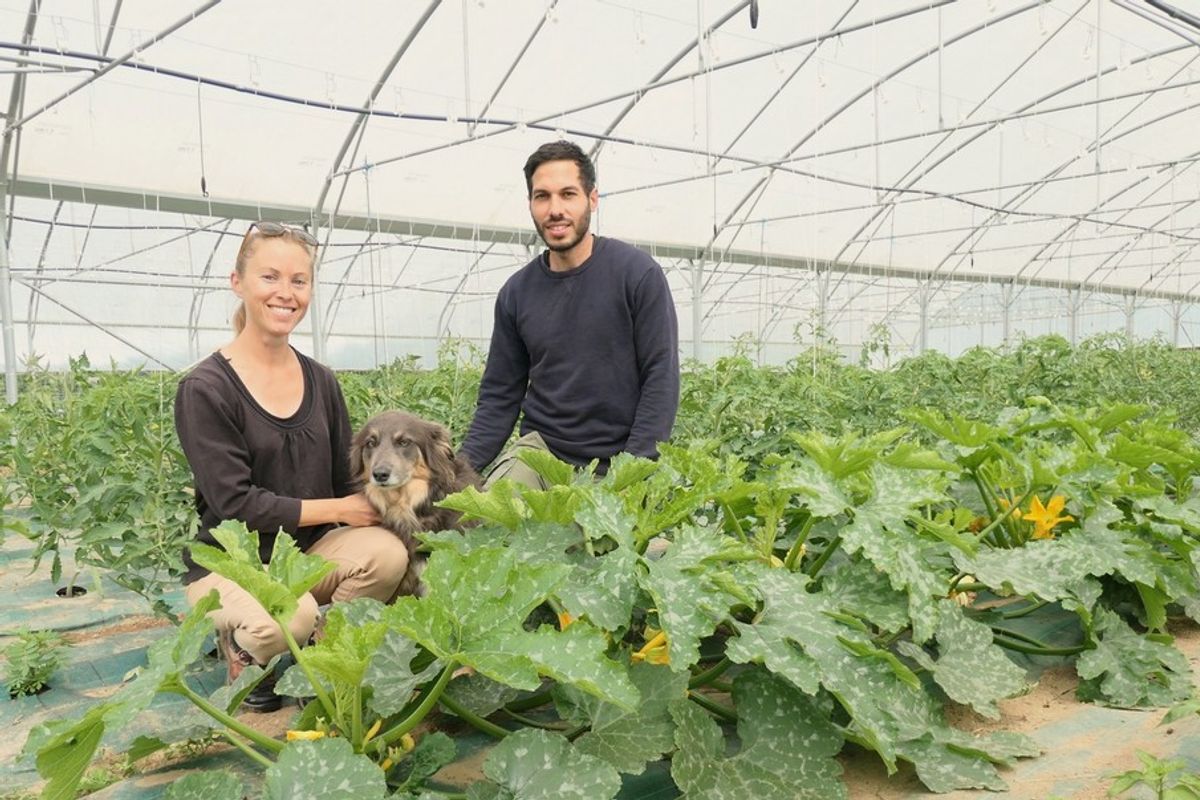 Mourioux-Vieilleville : Aux Jardins de l'Ardour, des légumes bio ...