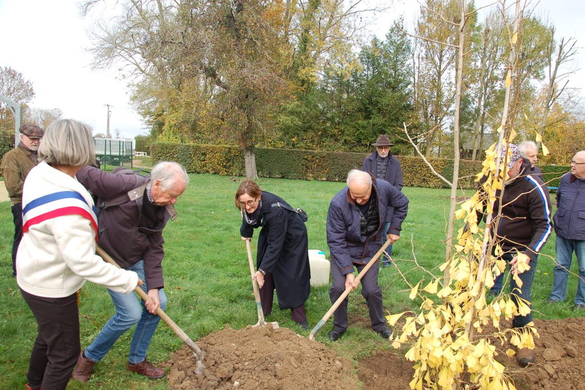 CHARPONT. Un arbre de vie planté pour sensibiliser aux dons - L’Écho ...
