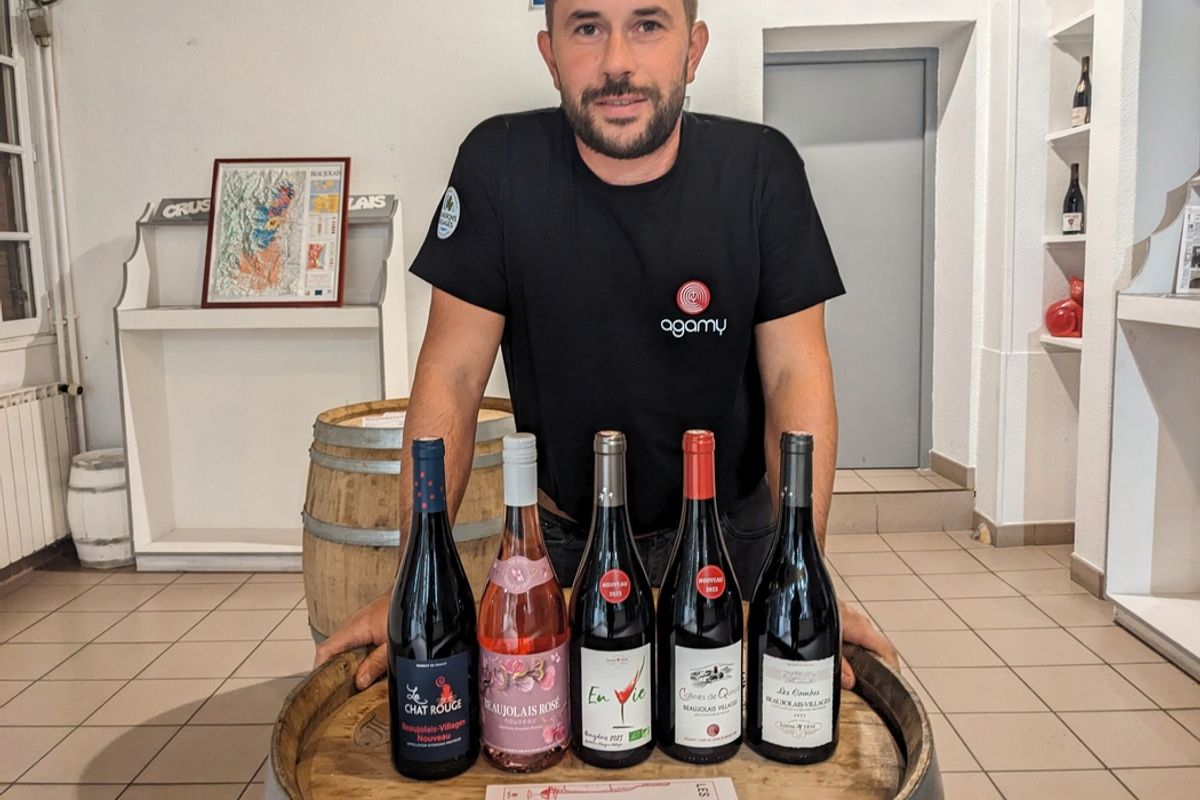 Les Beaujolais nouveaux arrivent à minuit, et "c'est un bon cru ...