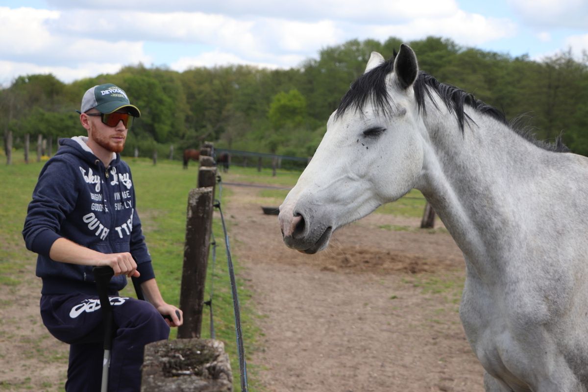 Après la mort d'Ivan, découvrez les quatre nouveaux chevaux du cavalier ...