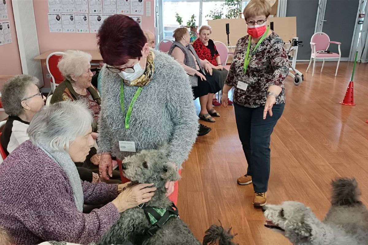 GRACAY. Lefna et Lox, leurs rayons de soleil - Le Berry Républicain