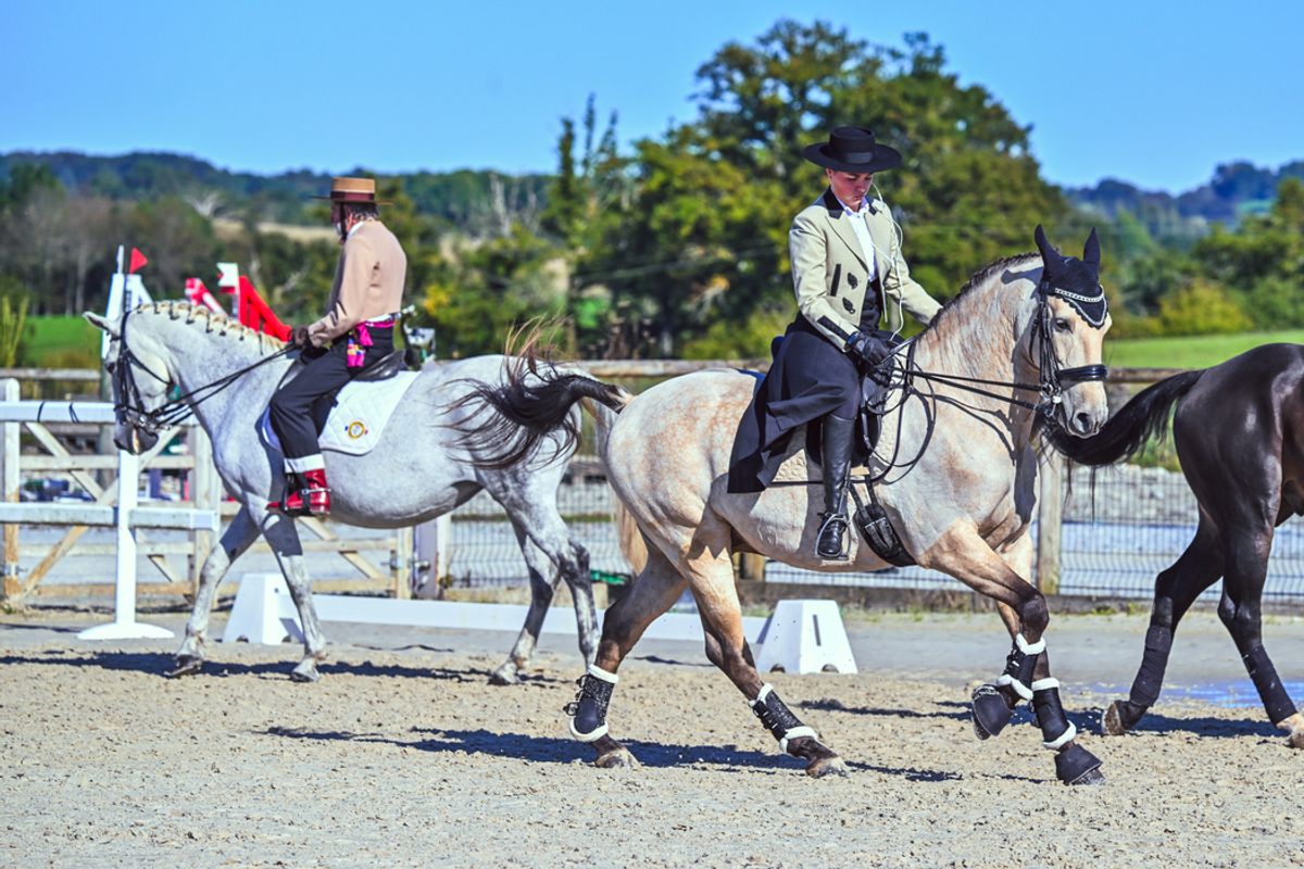 Le cheval ibérique à l'honneur tout au long du week-end à Saint-Hilaire ...