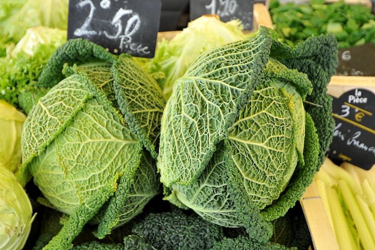 Cinq bonnes raisons de manger du chou - Le Berry Républicain