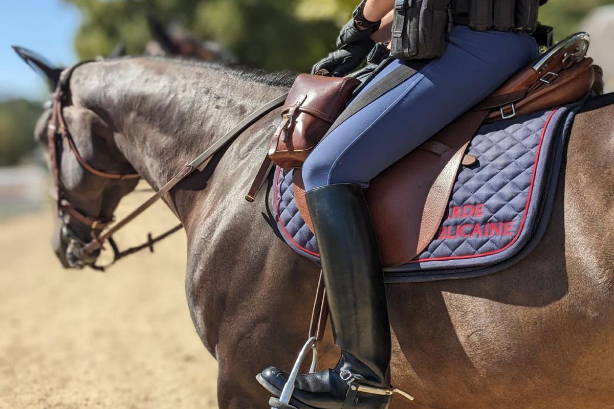 Comment l'homme a pu domestiquer le cheval : la petite mutation ...