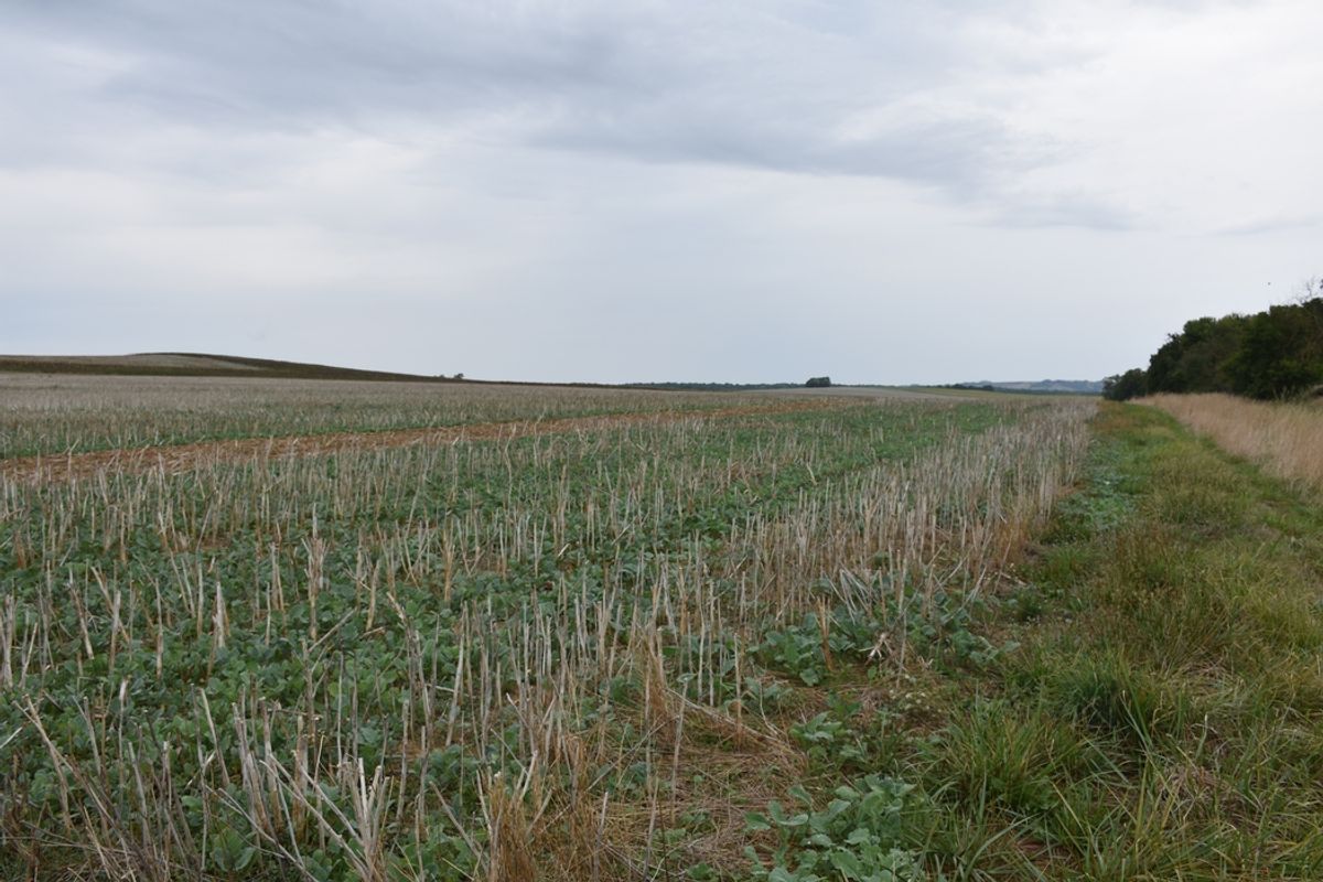Parc solaire de Germenay/Dirol : le permis de construire a été accordé ...