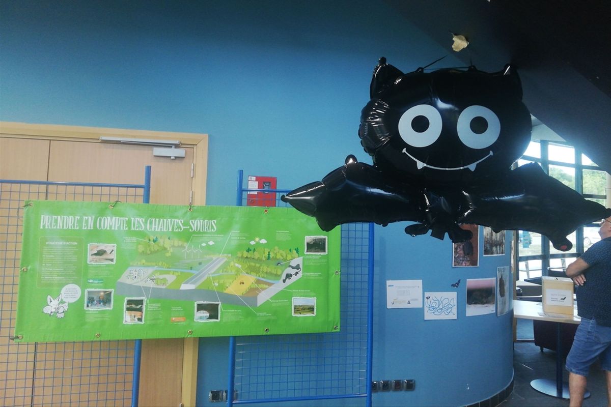 SENS. Réconcilier le grand public avec les chauves-souris - L'Yonne ...