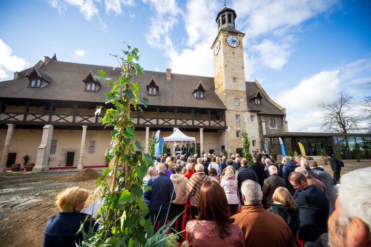 Après plus de vingt ans, le château des ducs de Bourbon s'ouvre à nouveau au public : "Nous le ...