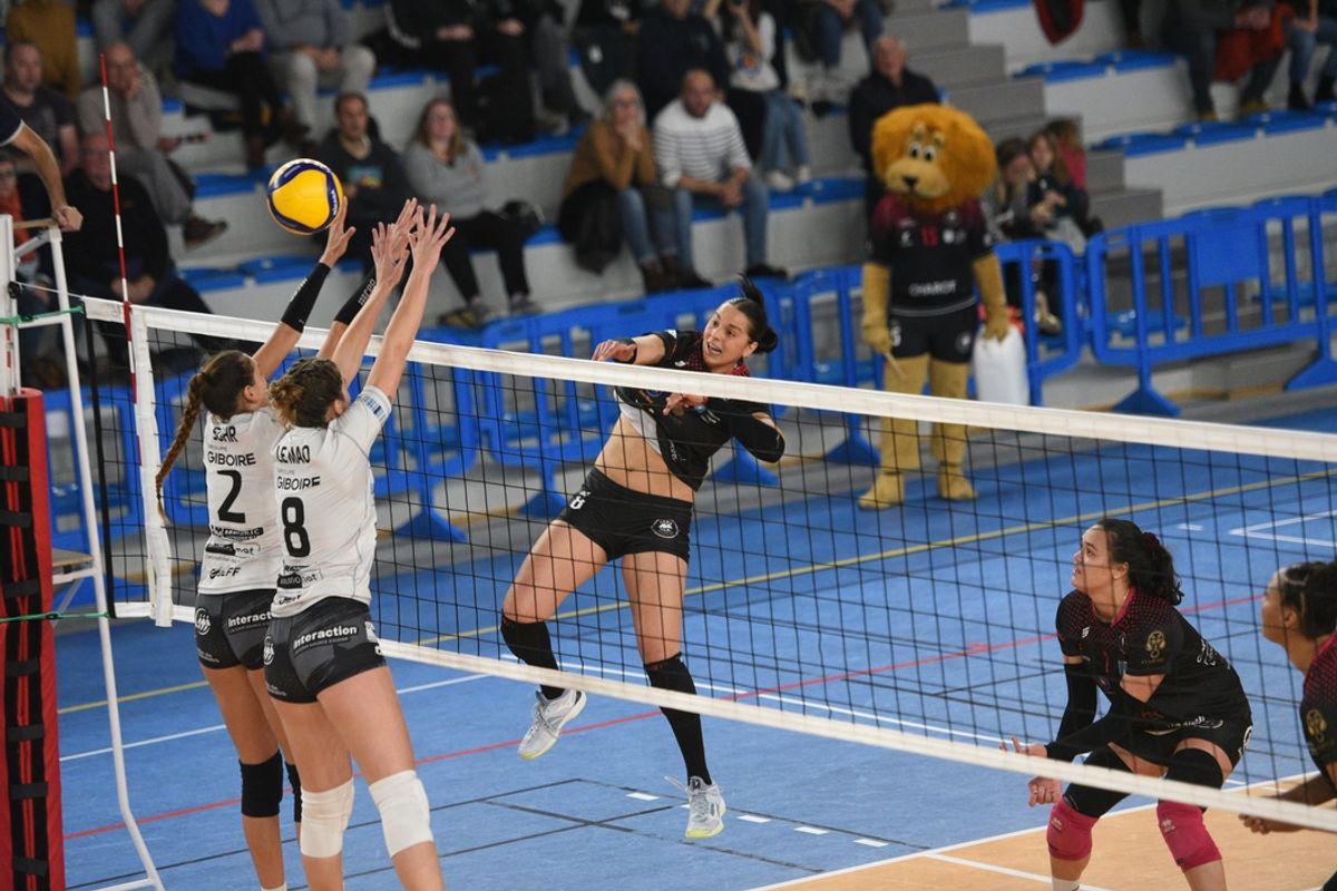 Sol Piccolo, avant Rennes-Sens Volley 89 : "C'est le match le plus ...