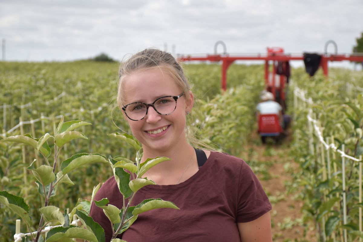 Adline est saisonnière pour l'entreprise Dalival, à Francourville - L ...