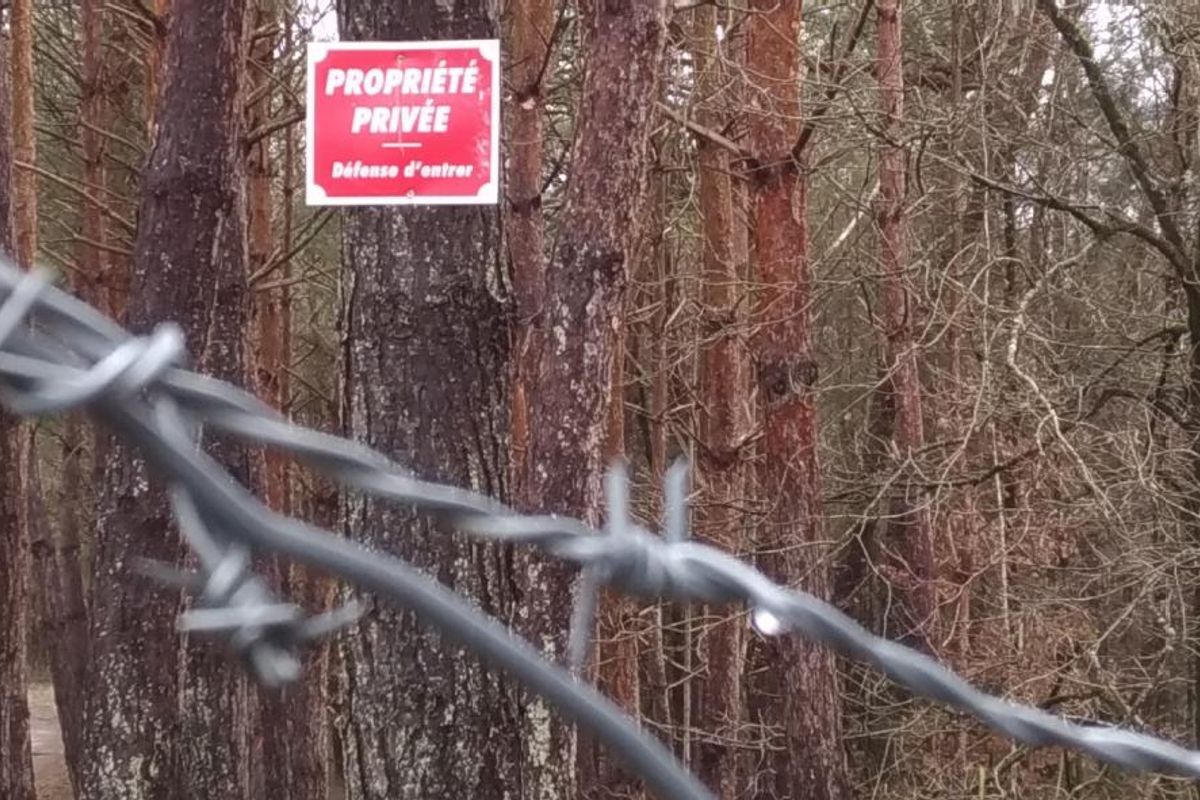 Une loi pour abattre les grandes clôtures en Sologne et en finir avec l ...