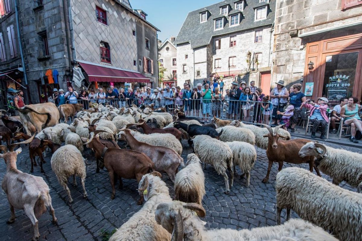 BESSE ET SAINT ANASTAISE. Un village paysan s’installe demain à Besse ...